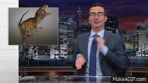 Autism and T-Rex Arms – A Is For Aoife Not Autism